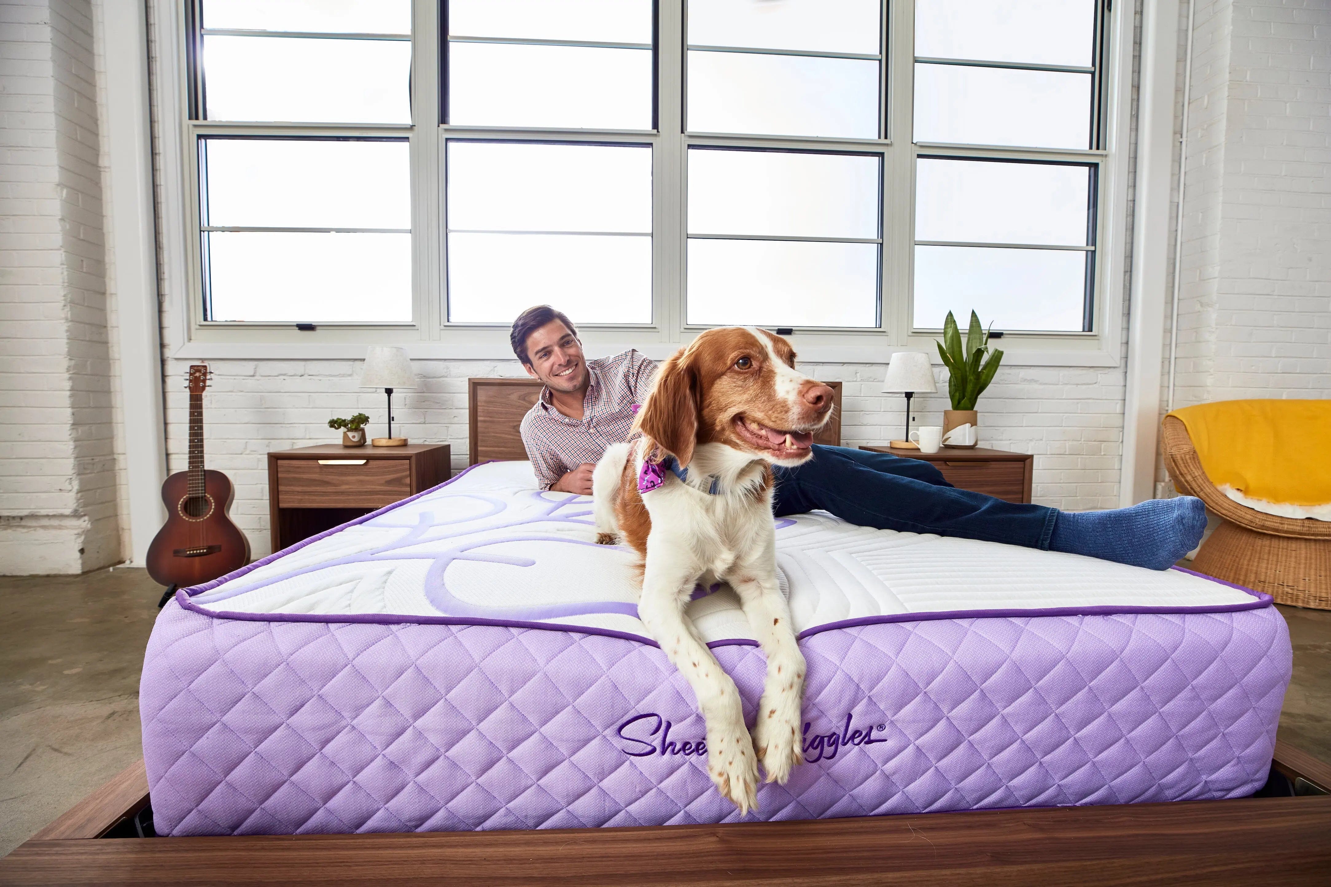 Latex mattress allergy store